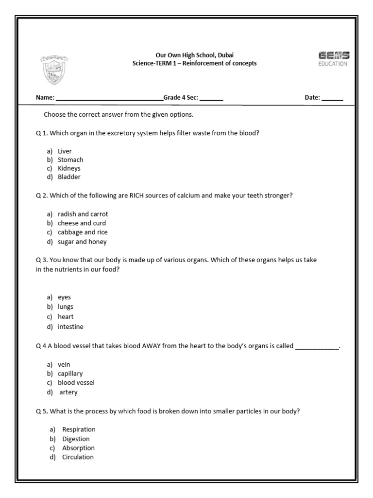 Term 1 Science Reinforcement 2025 | PDF | Circulatory System | Artery
