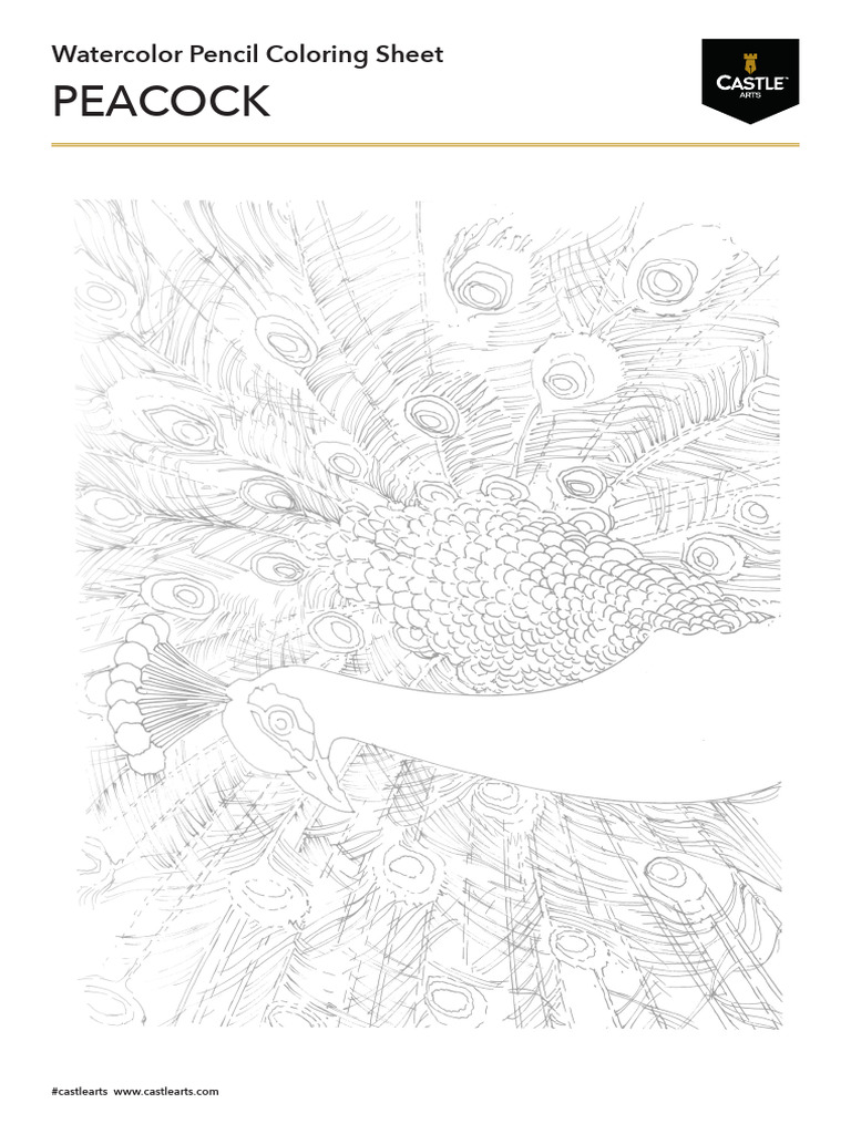120 Watercolor Pencils Coloring Sheet | PDF
