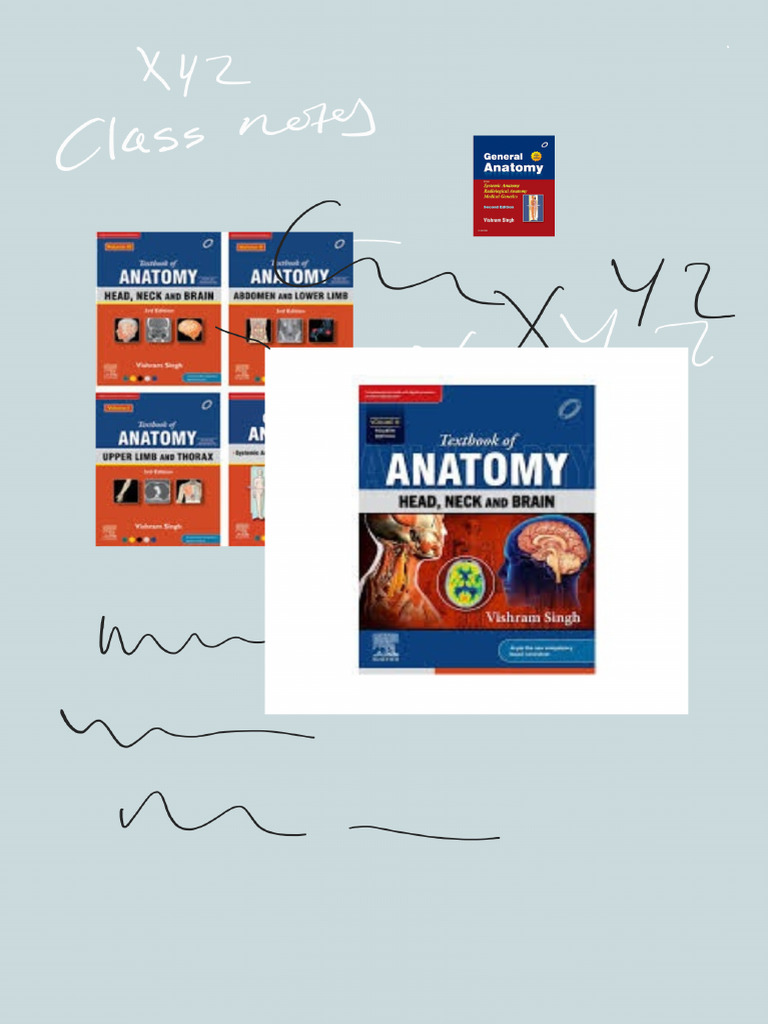 Anatomy Module - 250629 - 143021 | PDF