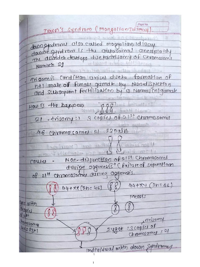 Genetics Pdf