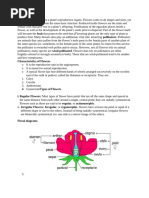 Pertemuan - 10 Rumus Dan Diagram Bunga | PDF | Petal | Flowers