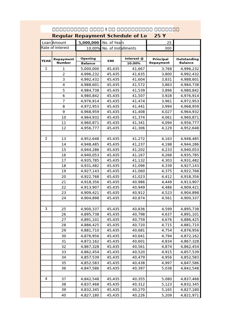 25-Year Loan Repayment Schedule | PDF