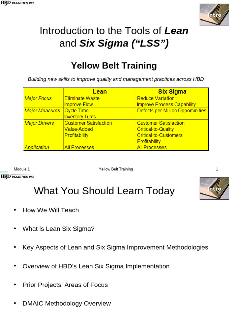 Introduction To Lean Six Sigma | PDF | Six Sigma | Lean Manufacturing