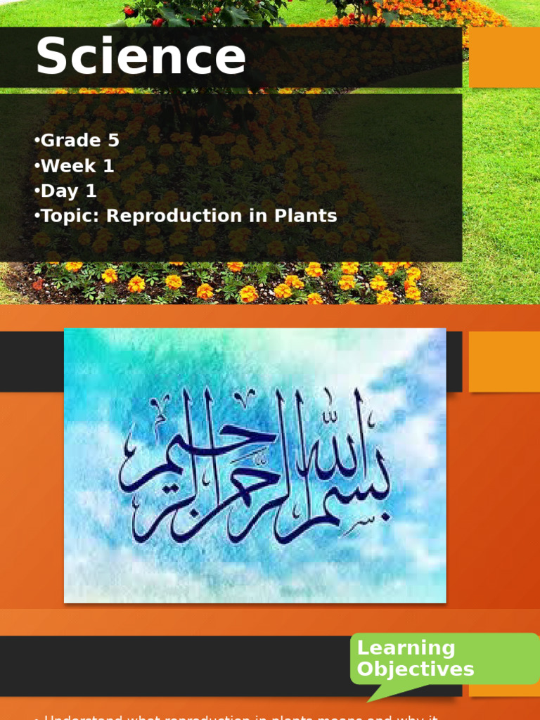 Plant Reproduction for Grade 5 | PDF | Reproduction | Plant Reproduction