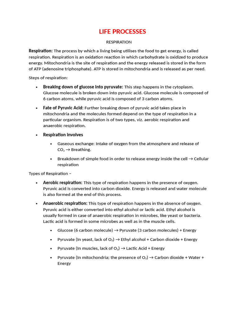 Understanding Respiration Processes | PDF | Cellular Respiration ...