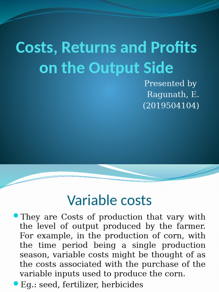 Costs, Returns and Profits On The Output | PDF | Production Function | Function (Mathematics)