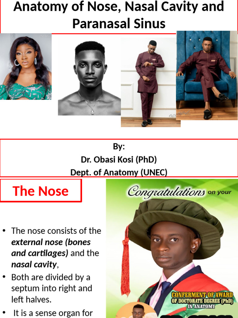 DR Obasi Kosi Nasal Cavity For University Students | PDF | Human Nose ...
