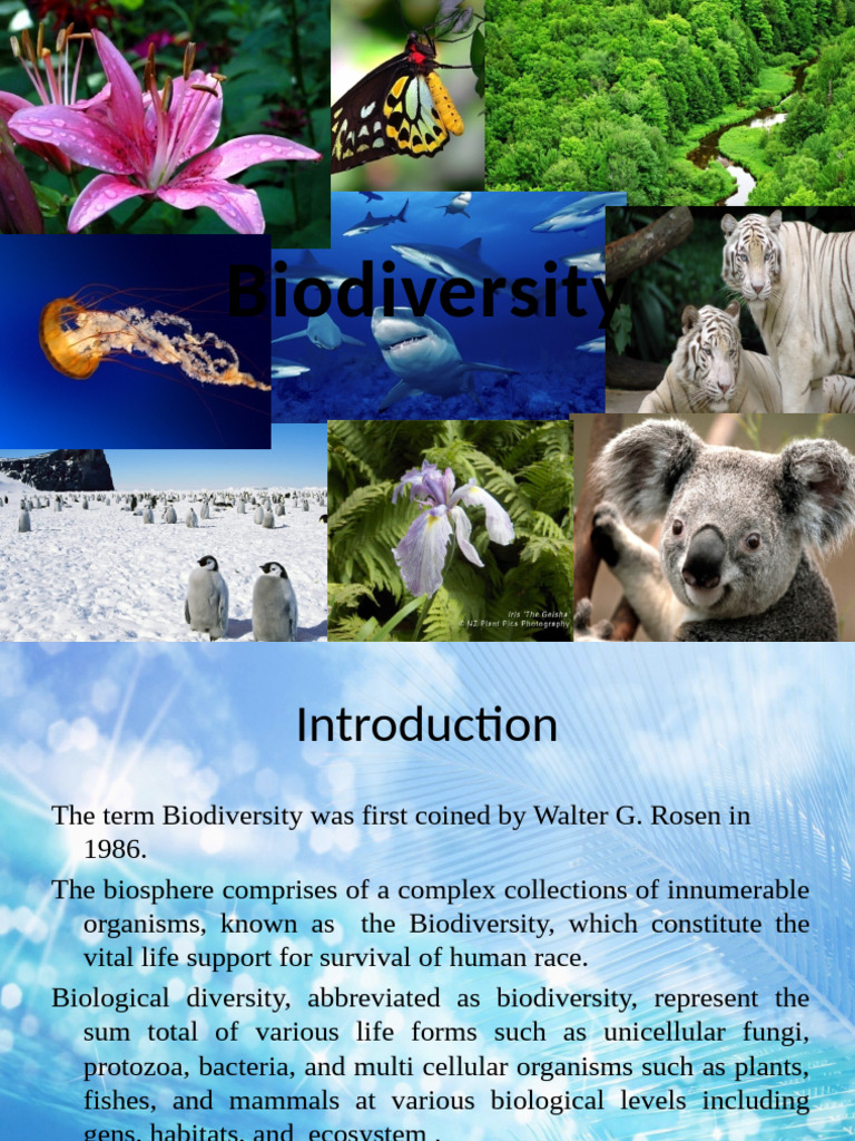 Biodiversity | PDF | Habitat Destruction | Biodiversity