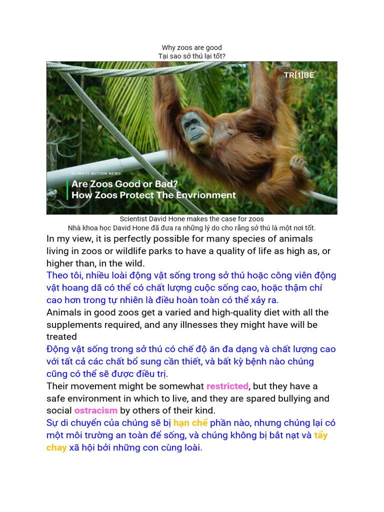 Why Zoos Are Good | PDF
