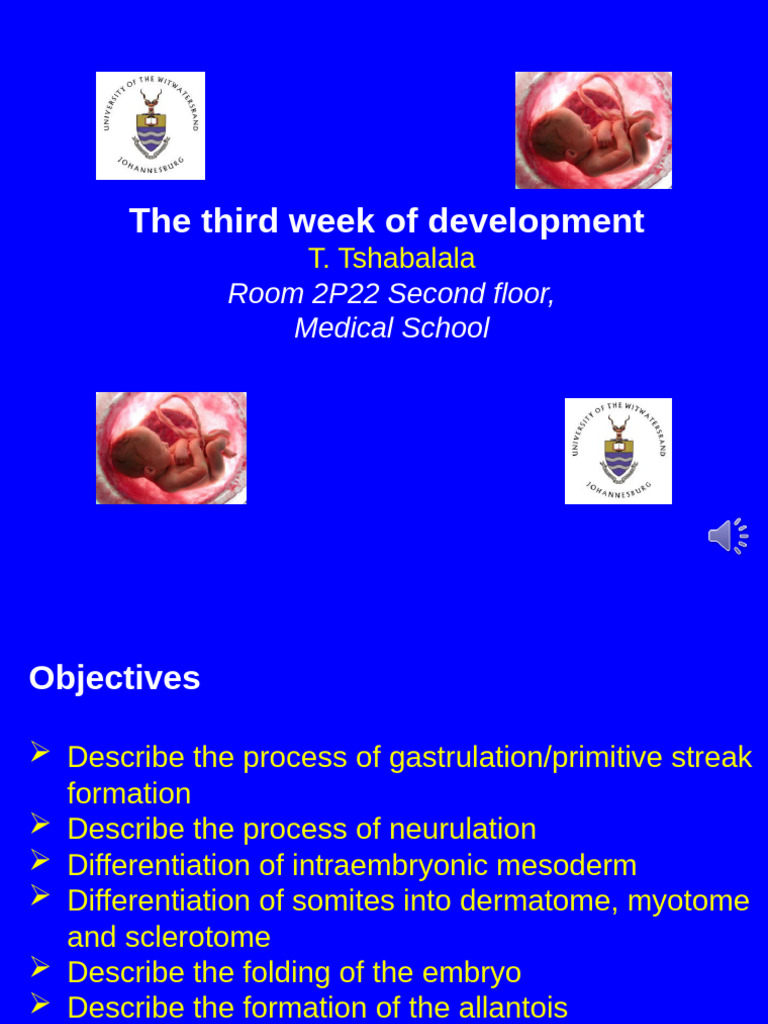The Third Week of Development 2024 | PDF | Reproduction | Anatomy