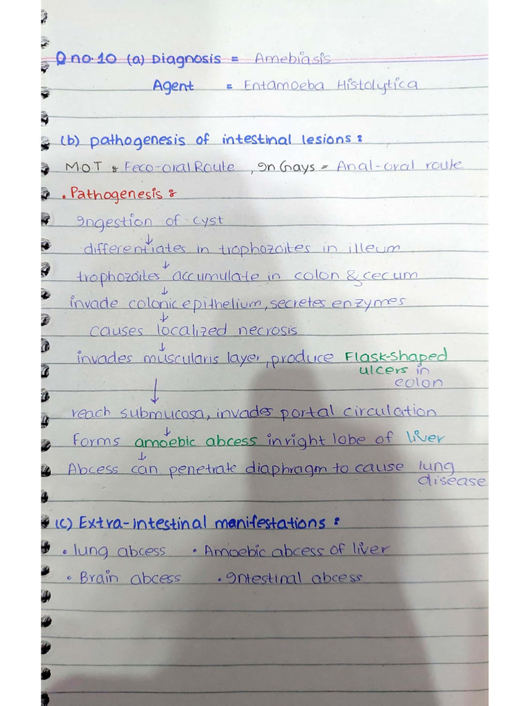 Patho Assignment | PDF
