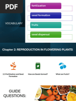 Strawberry Plant Anatomy for Kids | PDF | Fruit | Strawberry