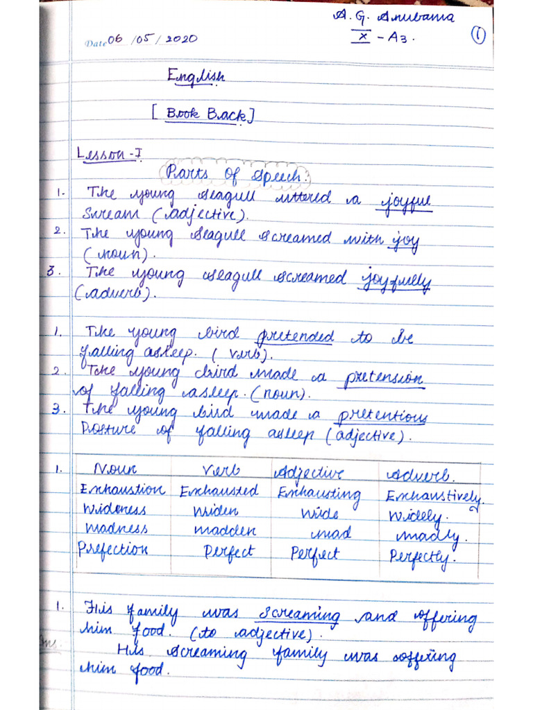 Grammar (Bookback) | PDF