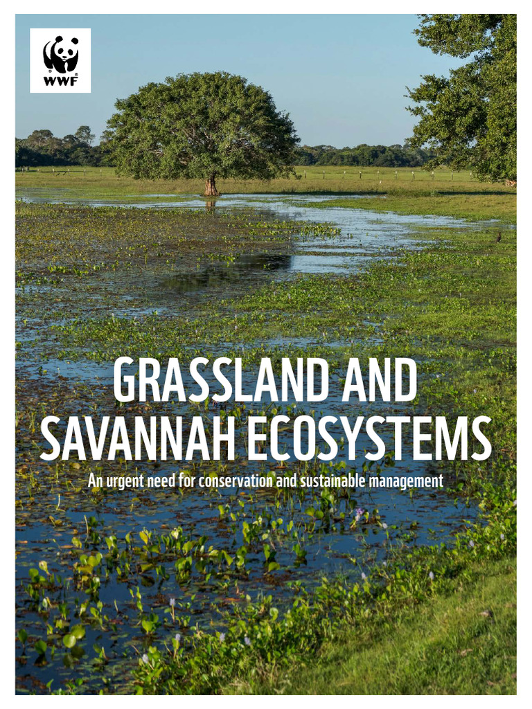 Conserving Grassland and Savannahs | PDF | Grassland | Savanna