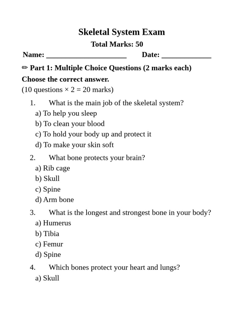 The Skeletal System Exam (For Kids) | PDF | Bone | Skeleton