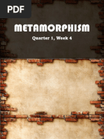 Dynamic Metamorphism | PDF | Rock (Geology) | Fault (Geology)
