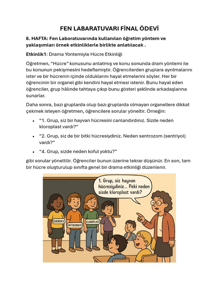 Laboratuvar Final ödevi Pdf