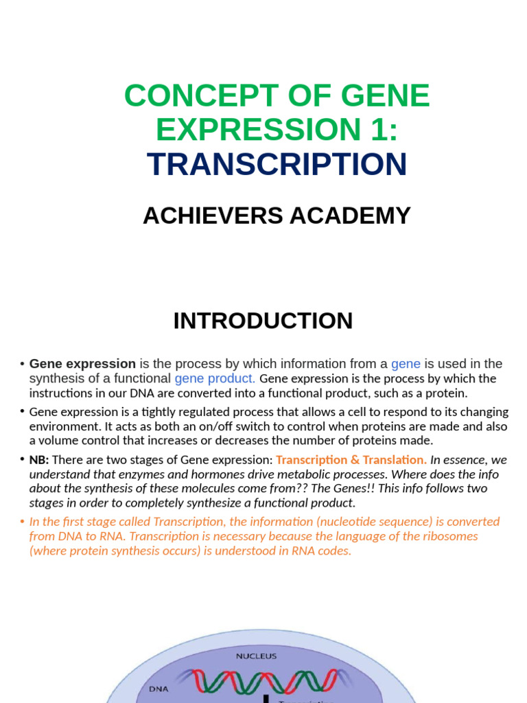 Gene Expression 1 (Transcription) | PDF | Messenger Rna | Rna