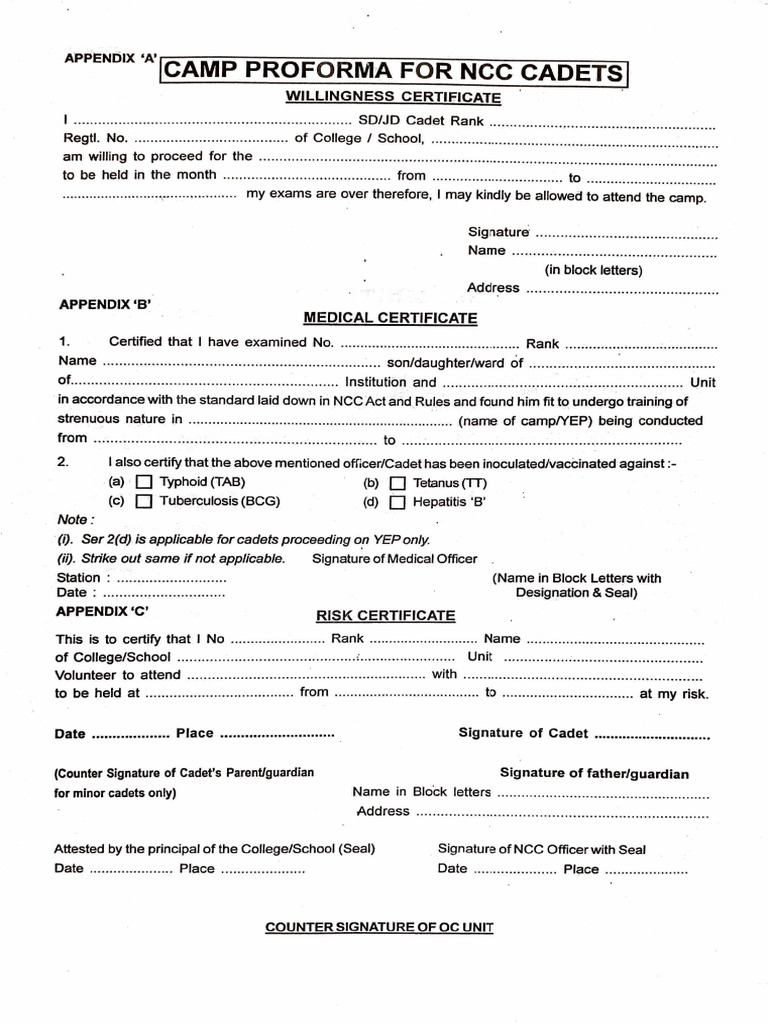 Camp Performa | PDF