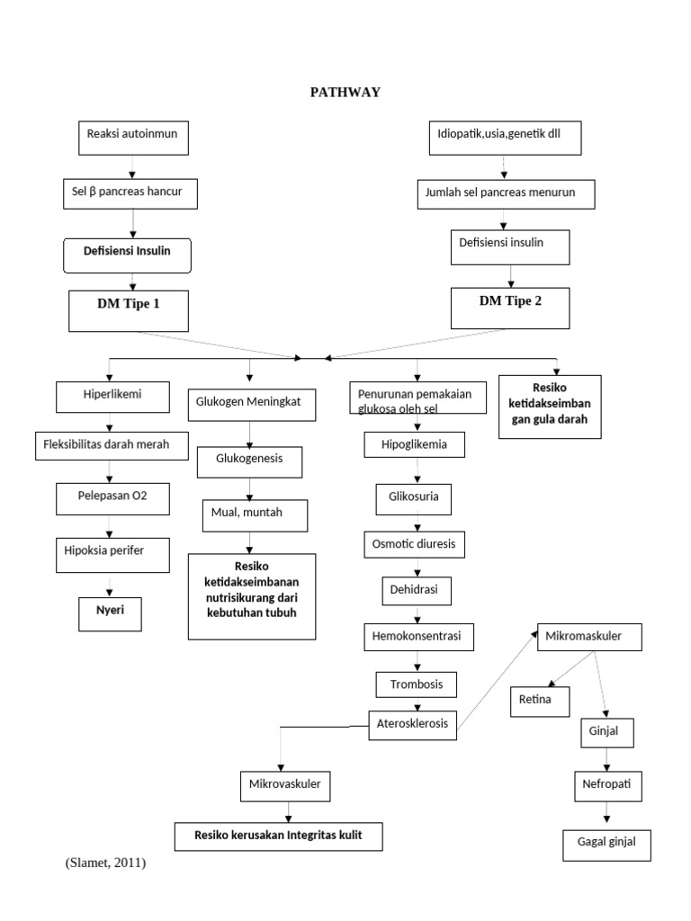 Pathway DM Umi | PDF