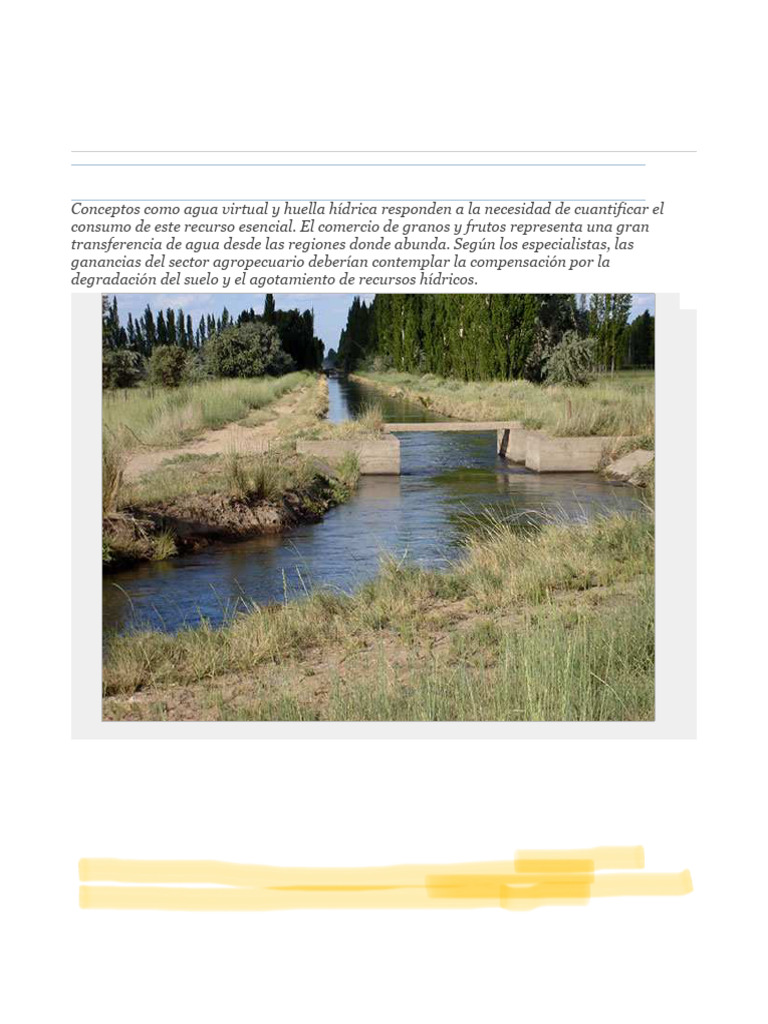 Agua Virtual y Huella Hídrica: Conceptos Clave | PDF | Agua | Riego