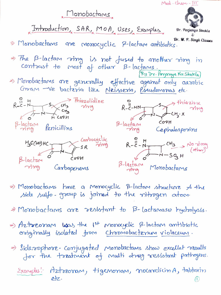 Monobactams: Structure, MoA, and Uses | PDF | Antibiotics