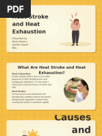 Heat Stroke: Causes, Symptoms, and Treatment | PDF