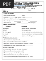 Worksheet - Parts of A Plant - Answer Key | PDF | Leaf | Plants