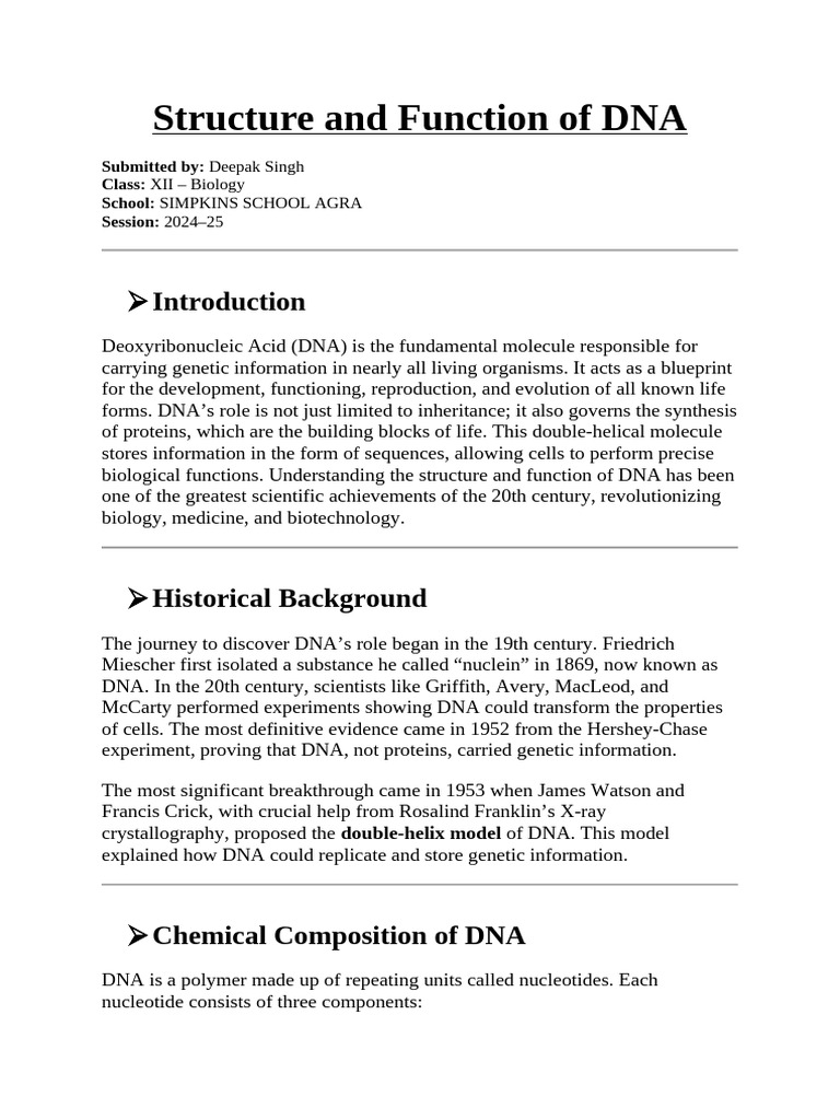 Structure and Function of DNA | PDF | Dna | Dna Replication