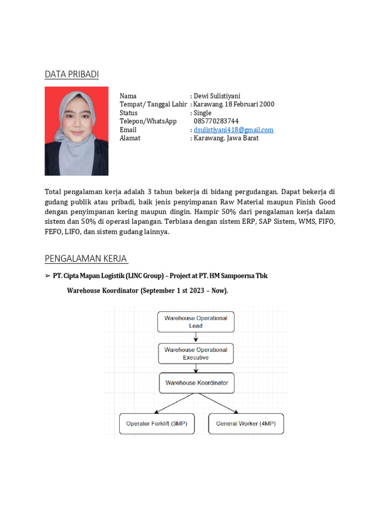 CV Dewi Updated Ind Ver | PDF