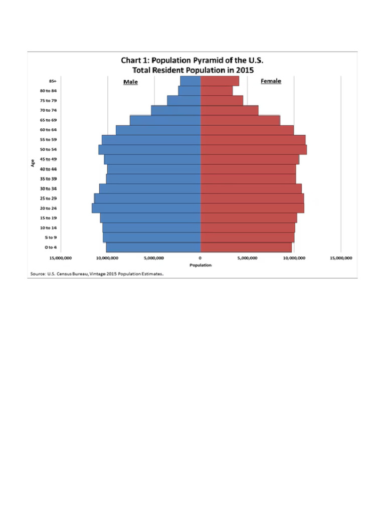 U.S. Population Pyramid Insights 2015 | PDF