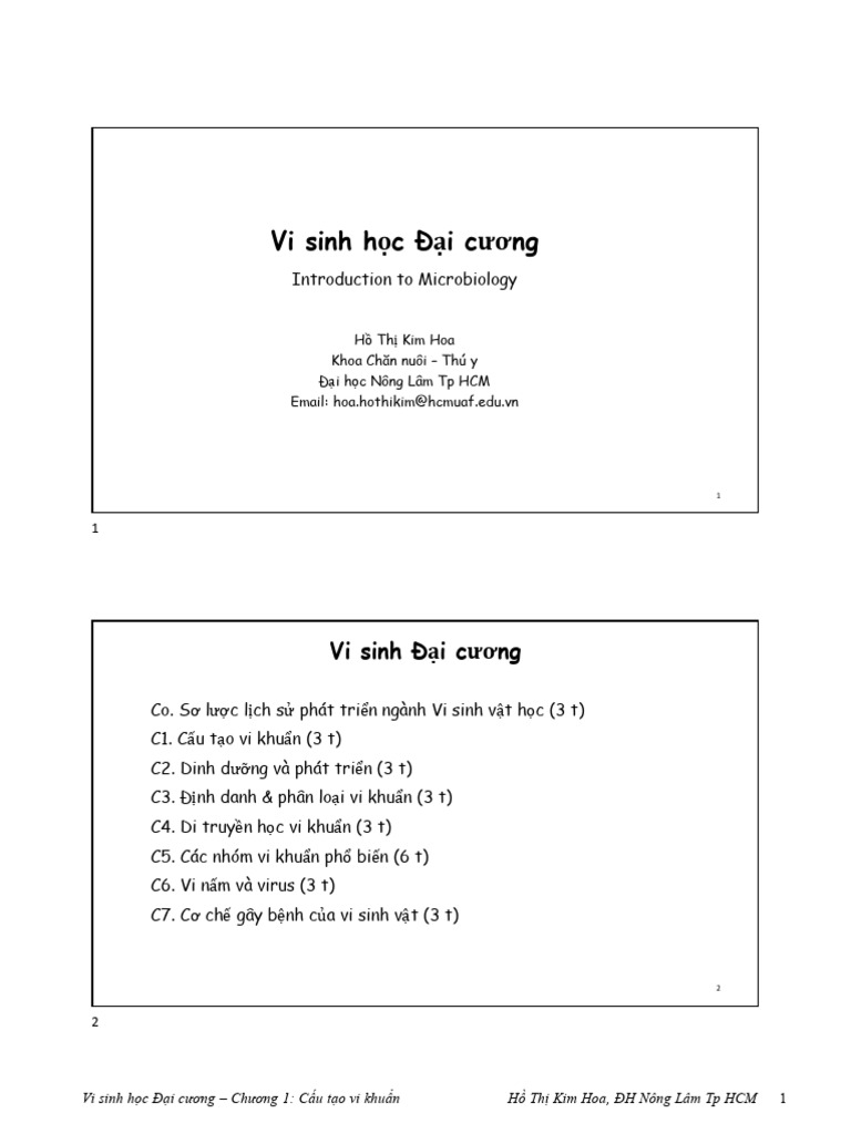 VSDC - Chuong 1 - Cau Tao VK | PDF