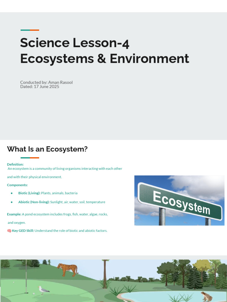 Ecosystems and Food Chains Explained | PDF | Ecosystem | Food Web