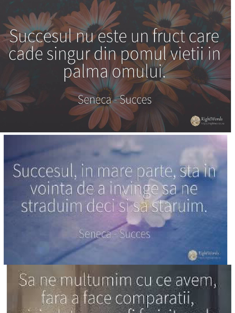 Seneca | PDF