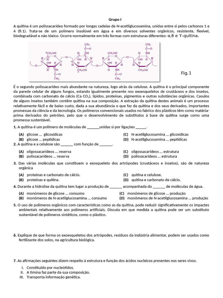 Quitina: Estrutura, Funções e Sustentabilidade | PDF | Célula (Biologia ...