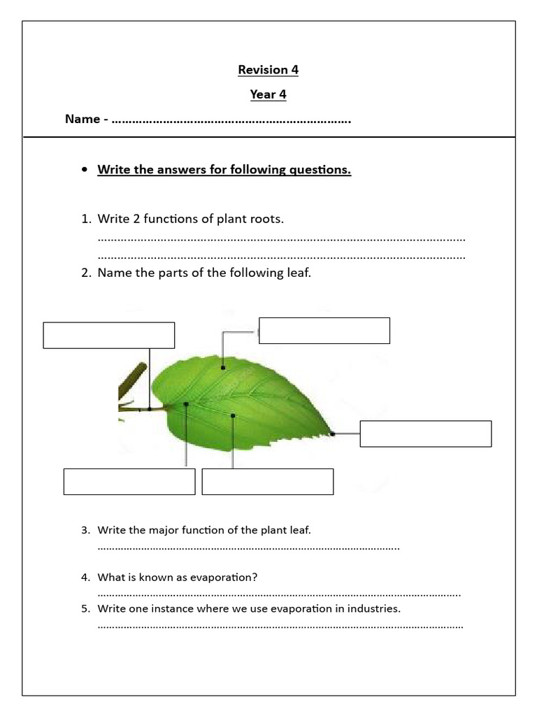 Science Revision for Year 4 Students | PDF