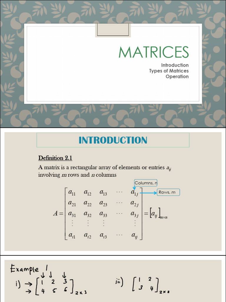 Chapter 2 Matrices (Part 1) | PDF | Matrix (Mathematics) | Algebra