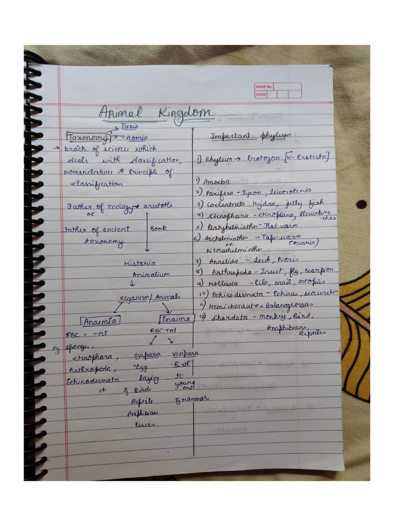 Animal Kingdom Notes | PDF