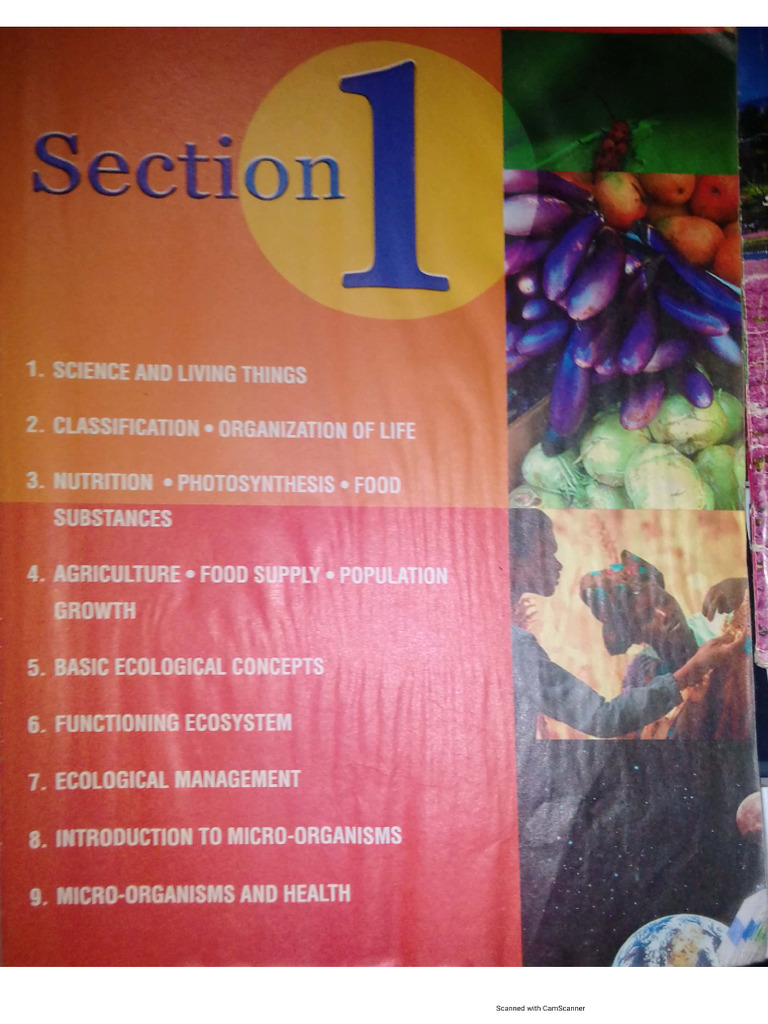 Modern Biology 1 | PDF