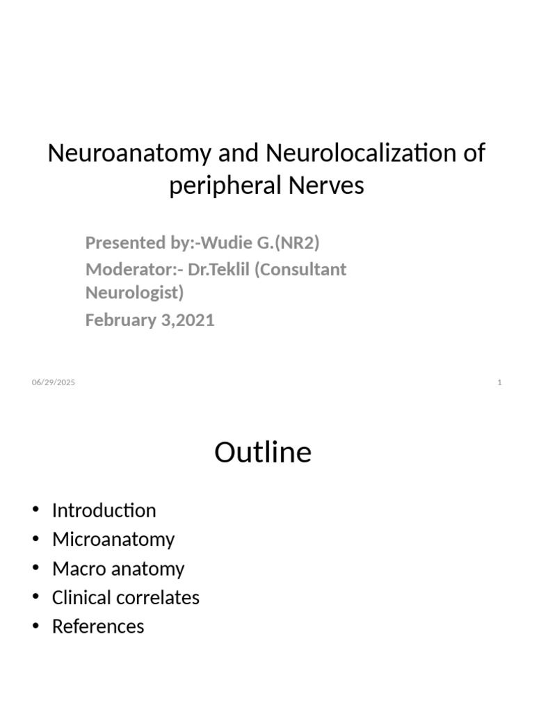 Neuroanatomy of Peripheral Nerves | PDF | Human Leg | Arm