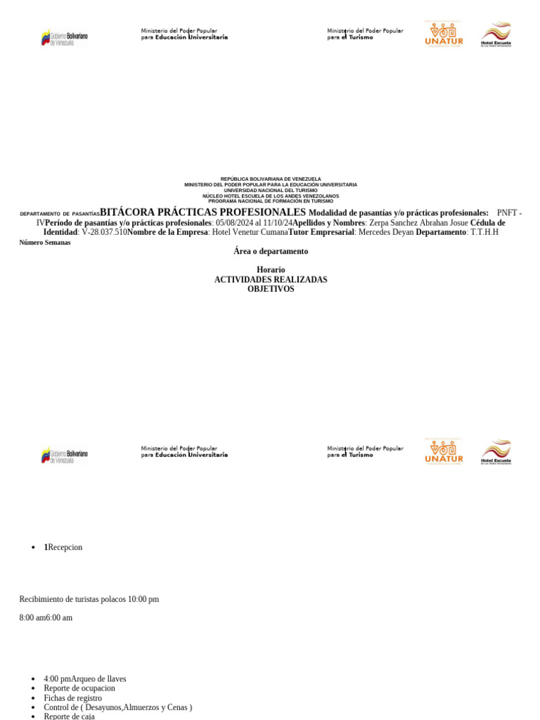 BitÃ¡cora PrÃ¡cticas Profesionales | PDF