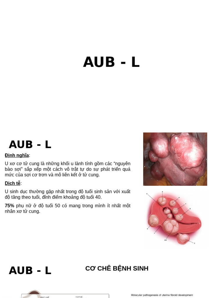 Aub - L | PDF