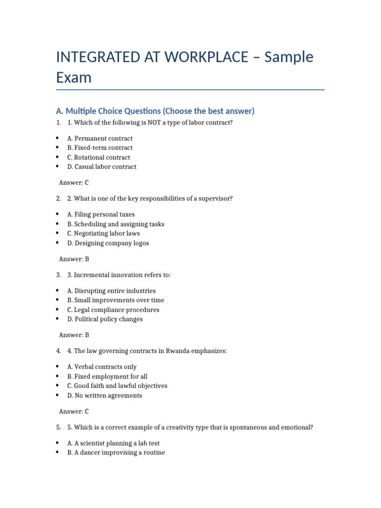IAP Integrated Workplace Exam Sample | PDF