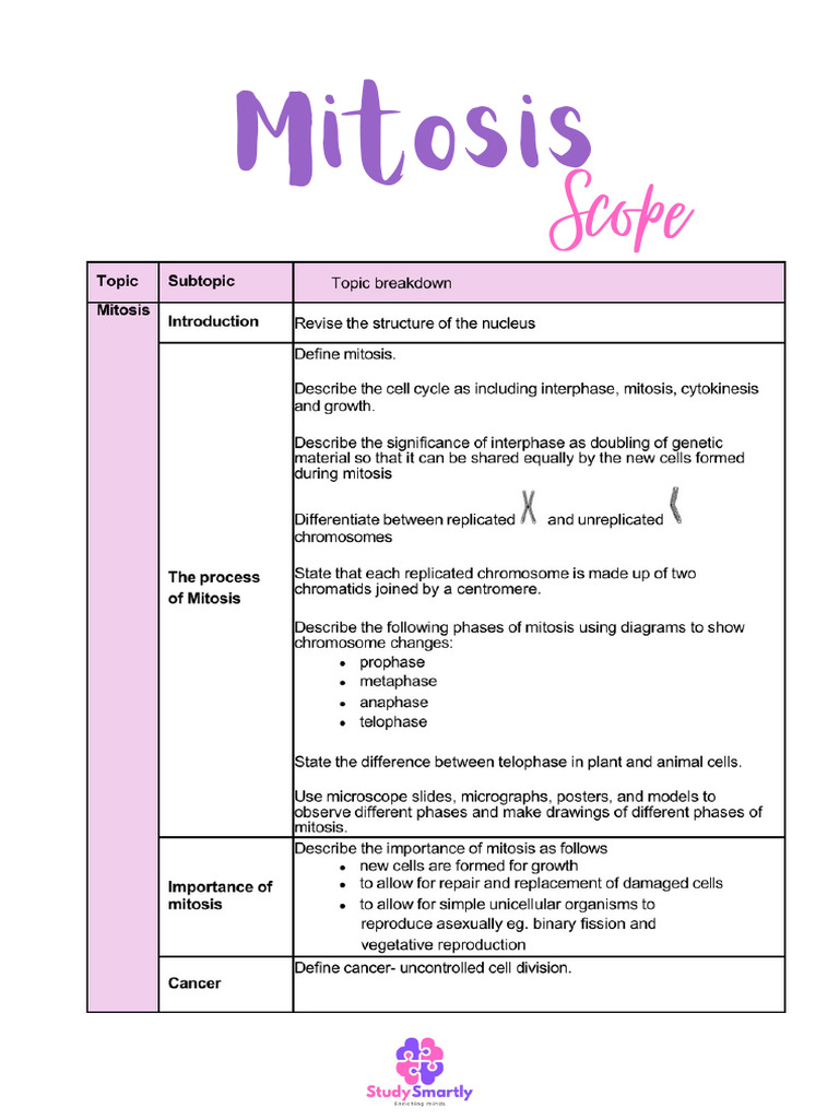 Grade 10 Mitosis Study Notes | PDF | Mitosis | Chromosome