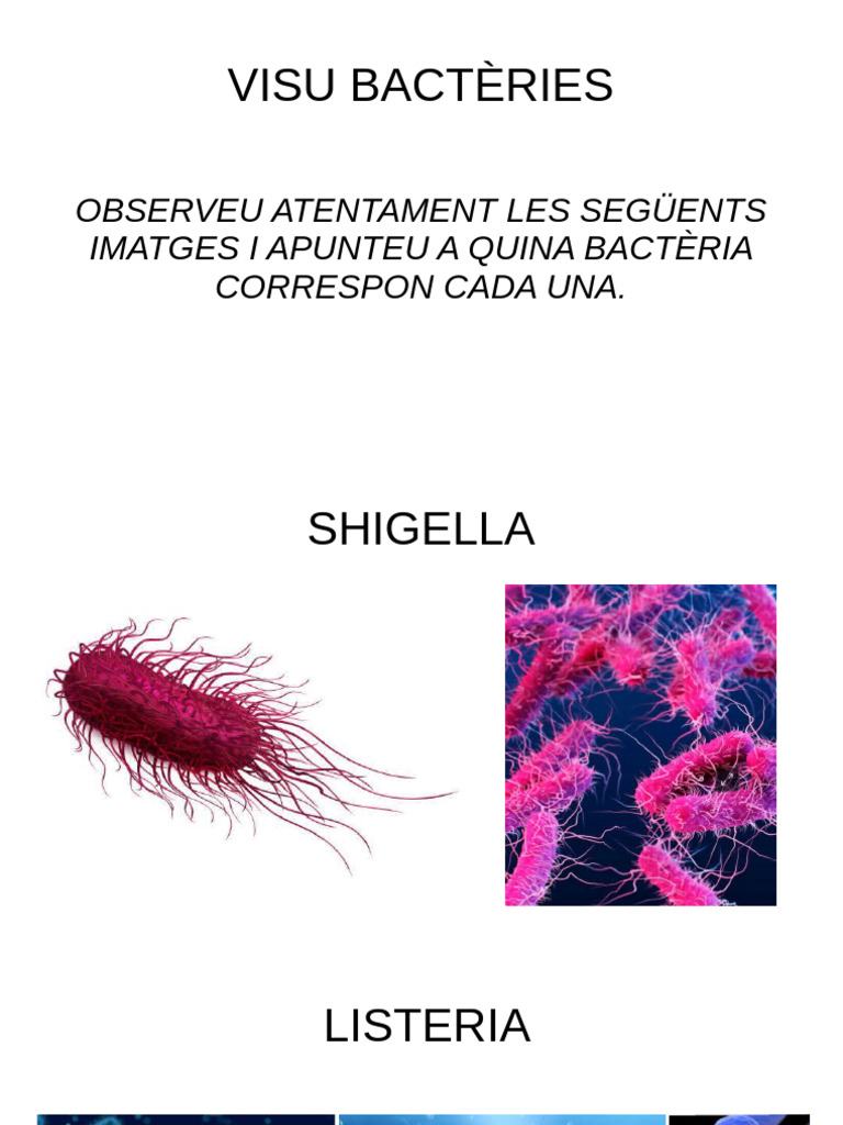 Visu Bacteries | PDF