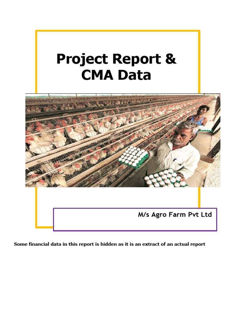 Sample Detailed Report Vip | PDF | Working Capital | Business Economics