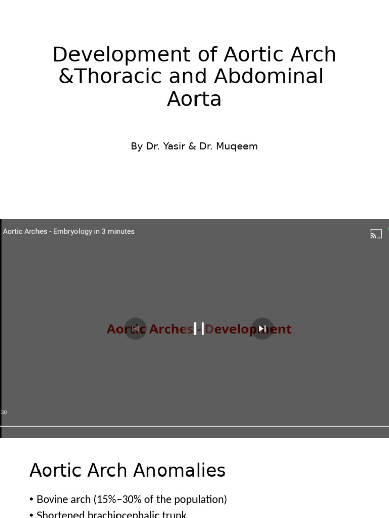Development of Aortic Arch & Thoracic and Abdominal Aorta | PDF