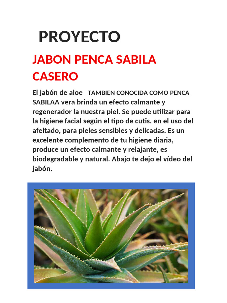 Proyecto Penca Sabila | PDF