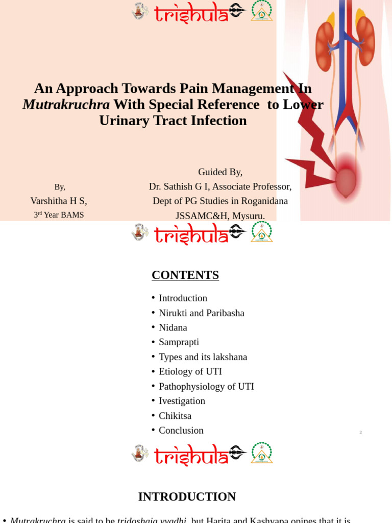 Varshitha - Mutrakrichrata | PDF | Urinary Tract Infection | Urological ...