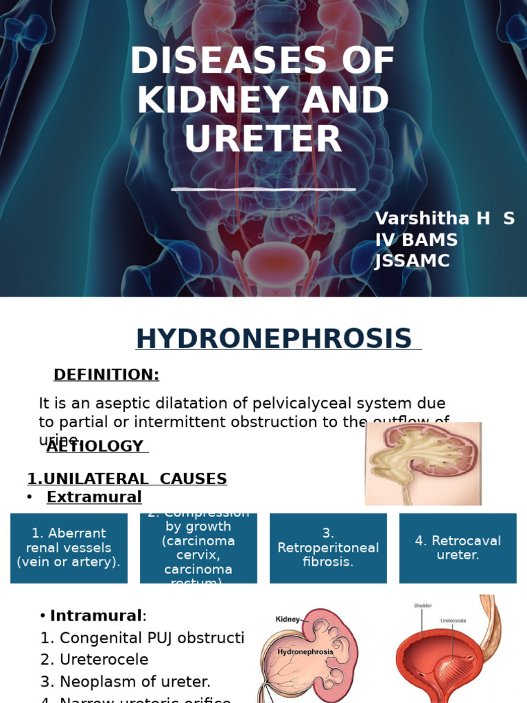 Varshitha-95 Kidney Disease | PDF | Kidney | Clinical Medicine